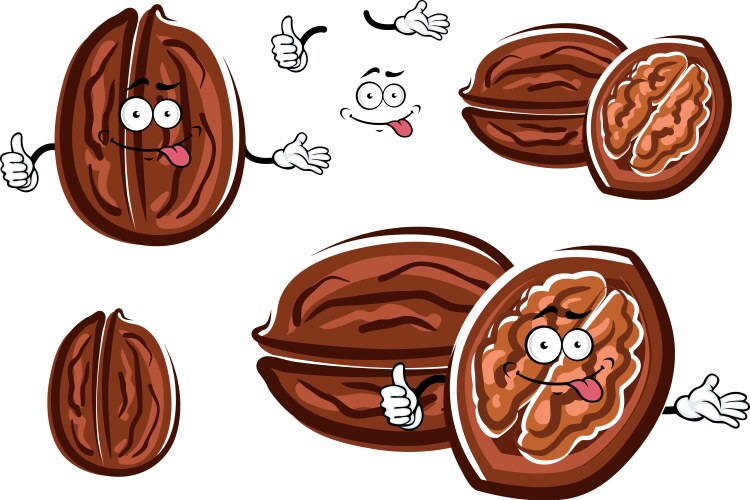 Walnuts icon cartoon style Royalty Free Vector Image
