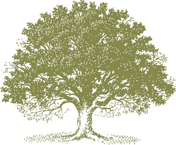 Tree Vector Images (over 1.5 million)