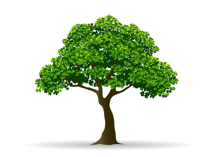 A giant tree Royalty Free Vector Image - VectorStock