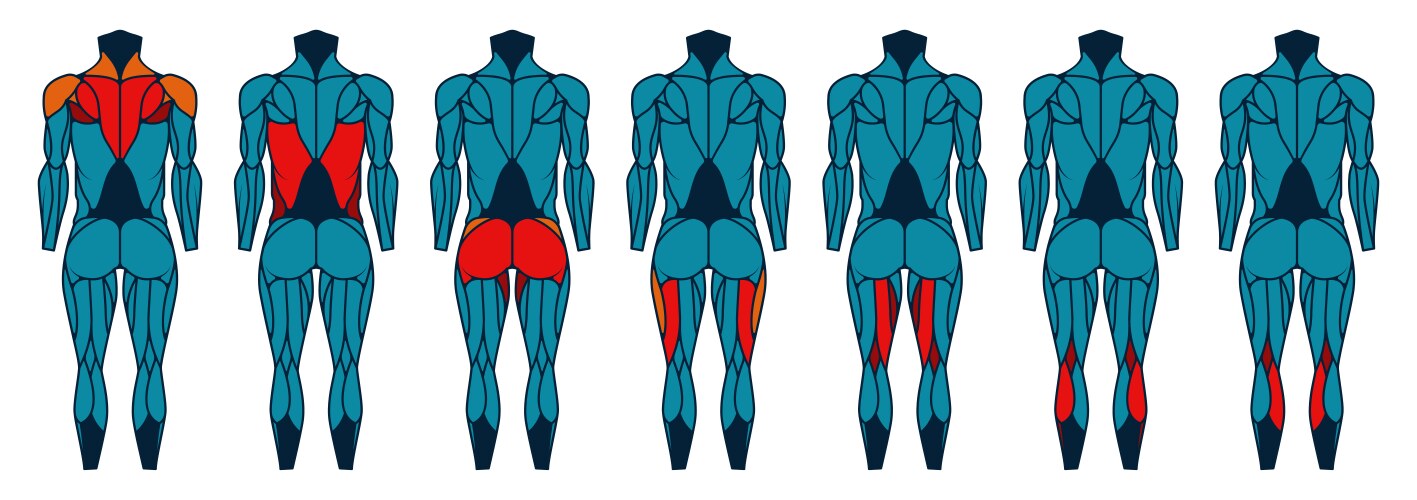 Back Vector Images (over 440,000)