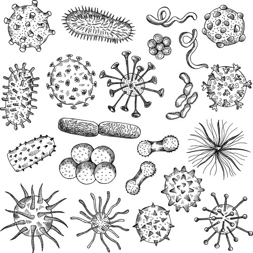 Bacteria Cartoon Drawing Vector Images (over 4,100)