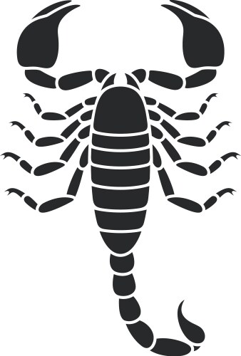 Scorpio outline Royalty Free Vector Image - VectorStock