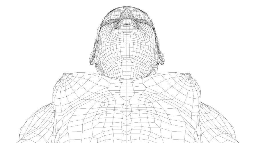 Wireframe female breast close-up view Royalty Free Vector