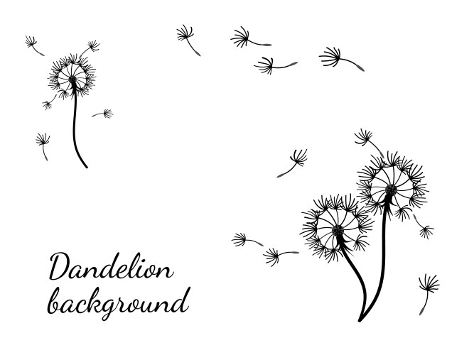 Abstract background dandelion design Royalty Free Vector