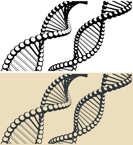 Dna Drawing Vector Images (over 4,500)