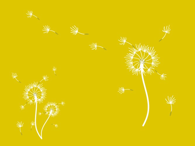 Abstract background dandelion design Royalty Free Vector
