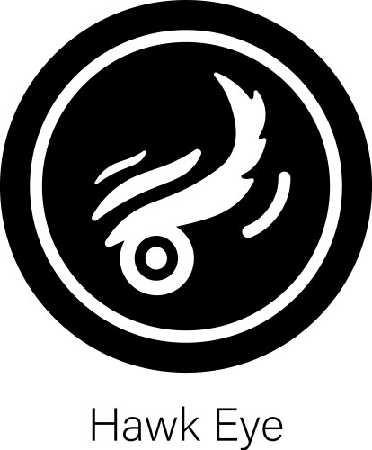 Tribal Hawk Vector Images (over 2,300)