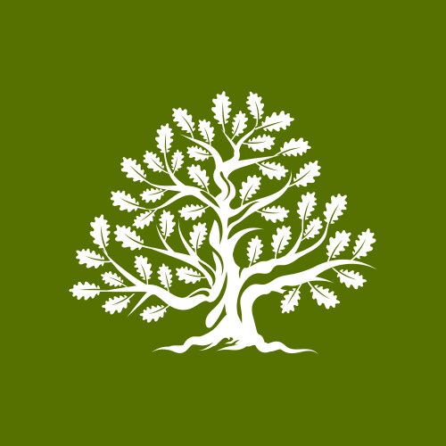 Huge and sacred oak tree plant silhouette logo Vector Image