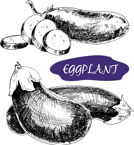 Eggplant Vector Images (over 29,000)