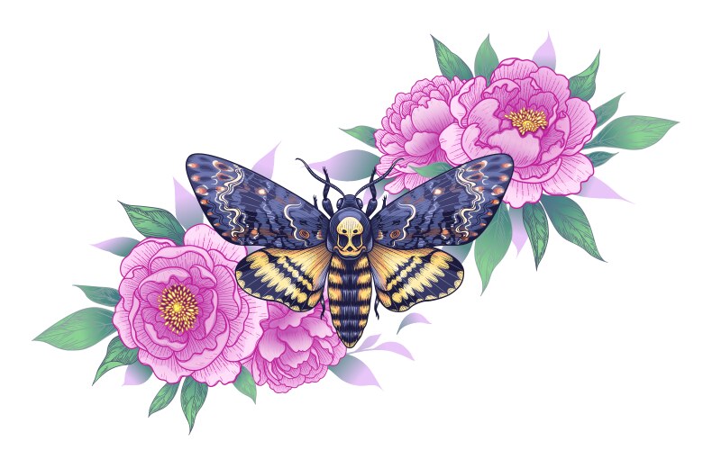 Death head hawkmoth Royalty Free Vector Image - VectorStock