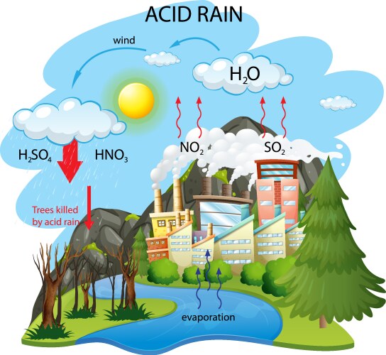 Acid rain Royalty Free Vector Image - VectorStock