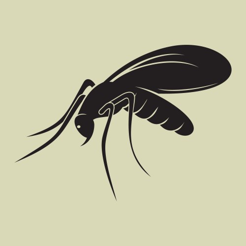 Mosquito Vector Images (over 16,000)
