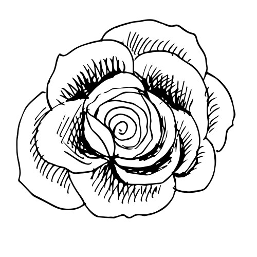Detailed outline rose simple black icon Royalty Free Vector