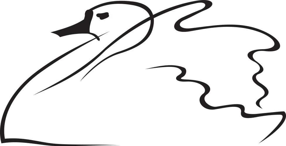 Swan with lift wings Royalty Free Vector Image