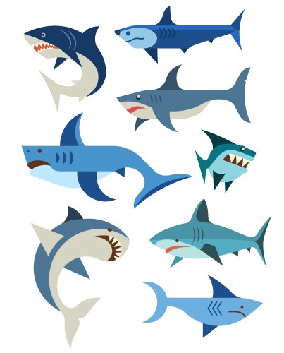 Cartoon shark collection set Royalty Free Vector Image