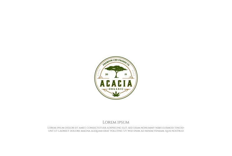 Pine tree emblem design vintage spruce badge Vector Image