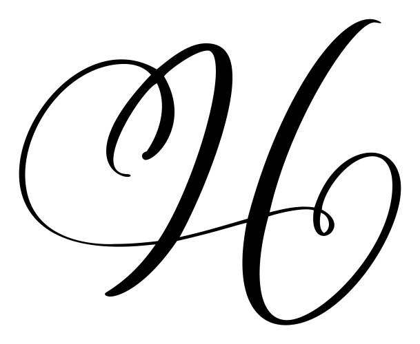 Calligraphy hand drawn capital letter h Royalty Free Vector