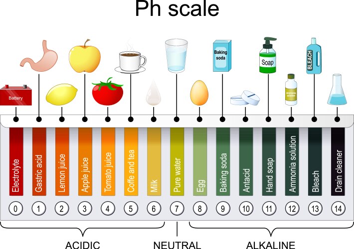 Ph scale universal indicator test strips Vector Image
