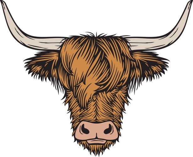 Highland Cow Vector Images (over 780)