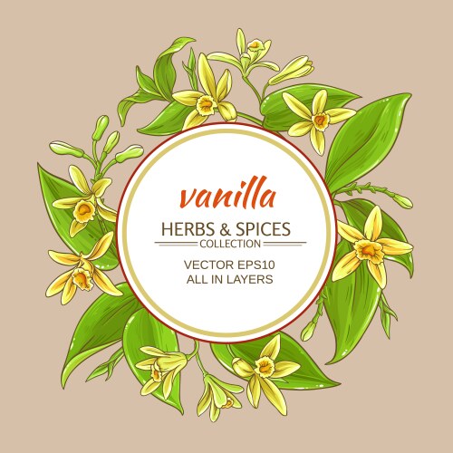 Vanilla set Royalty Free Vector Image - VectorStock