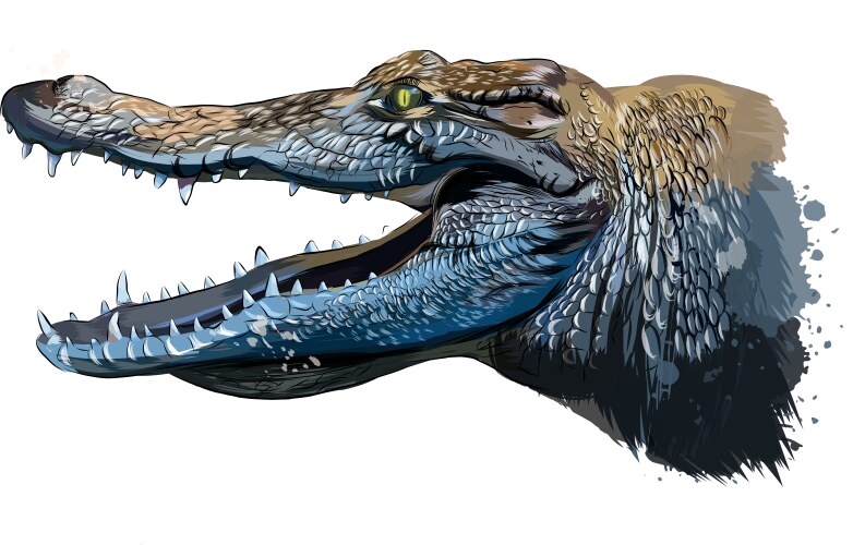 Gator Vector Images (over 2,400)