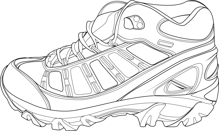 Adidas superstar Royalty Free Vector Image - VectorStock