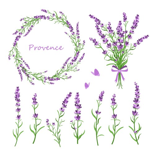 Lavender Vector Images (over 20,000)