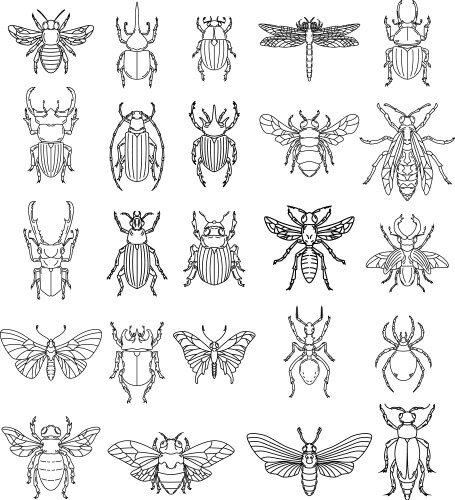 Line Drawing Insects Vector Images (over 23,000)