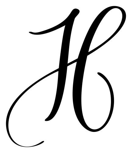 Calligraphy hand drawn capital letter h Royalty Free Vector