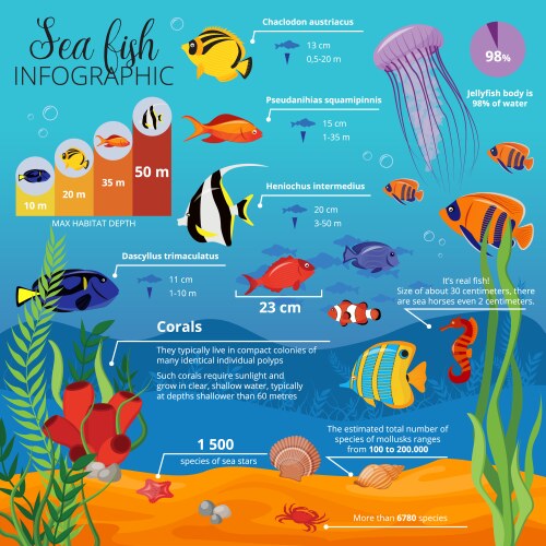 Infographic fishing poster Royalty Free Vector Image