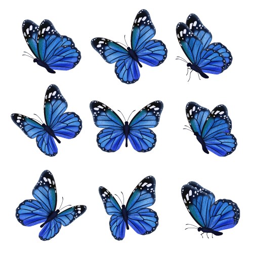 Butterflies Flying Vector Images (over 59,000)
