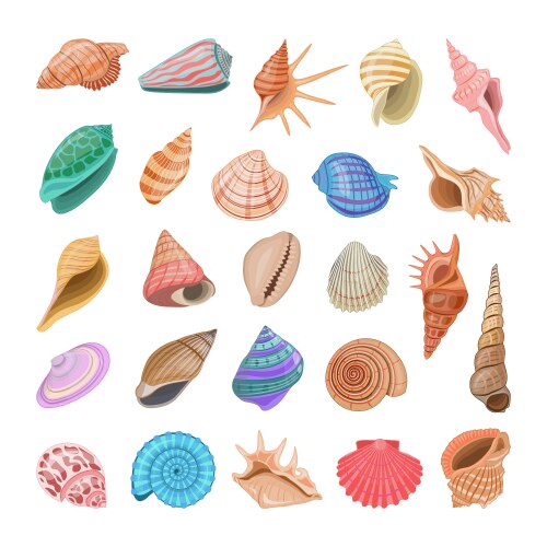 Seashells Vector Images (over 35,000)