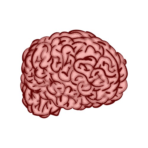 Brain hand drawing isolated brains engraving Vector Image Brain hand drawing isolated brains engraving Vector Image