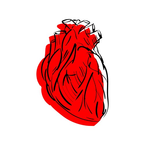 Realistic Heart Drawing Vector Images (over 1,500)