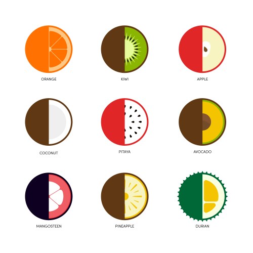 Fruit icon set flat design slice half Royalty Free Vector