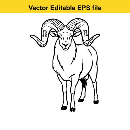 Detailed Ram Line Drawing – Royalty-Free Vector | VectorStock