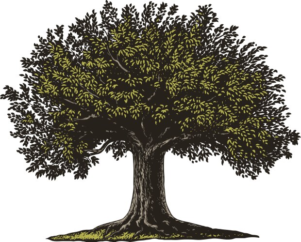 Tree Vector Images (over 1.5 million)