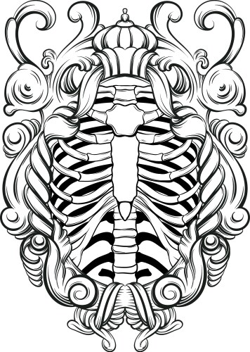 Human Ribs Vector Images (over 3,300)