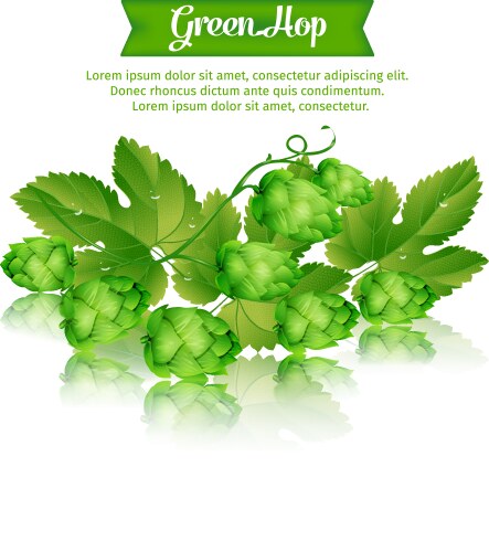 Hop Vector Images (over 51,000)