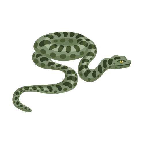Snake Vector Images (over 64,000)