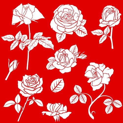 Rose Flower Vector Images (over 200,000)