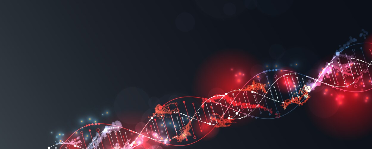 Science template wallpaper or banner with a dna Vector Image
