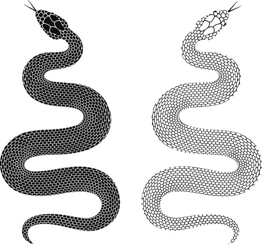 Snake Symbol Vector Images (over 28,000)