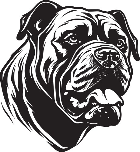 Cane Corso Vector Images (over 720)