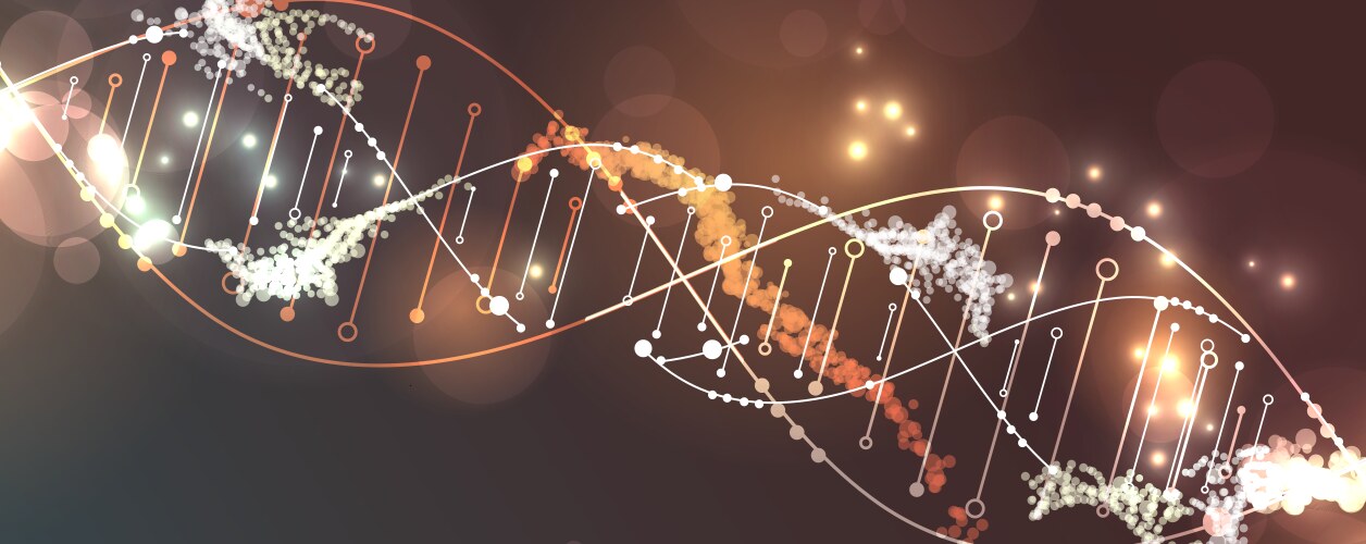 Science template wallpaper or banner with a dna Vector Image
