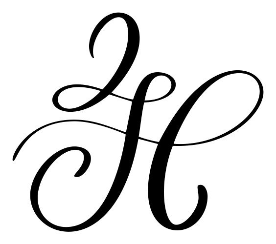 Calligraphy hand drawn capital letter h Royalty Free Vector