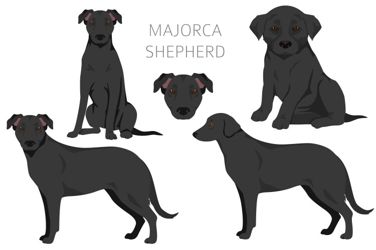 Mallorca Vector Images (over 770)