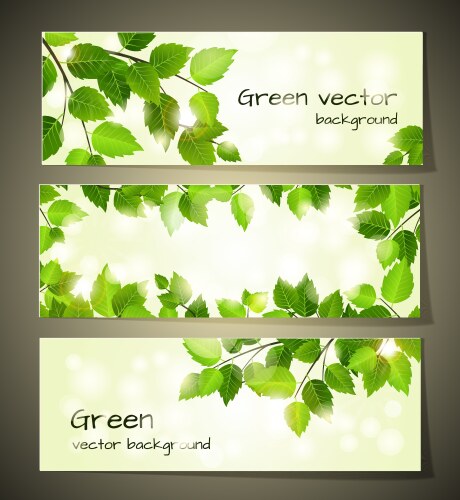 Tropical leaves banners exotic palm leaf banner Vector Image