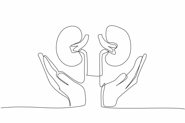 Help Line Drawing Vector Images (over 12,000)