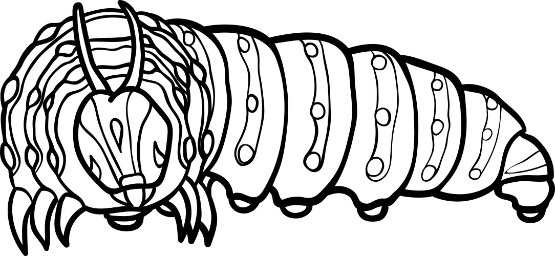 Caterpillar Outline Vector Images (over 2,300)